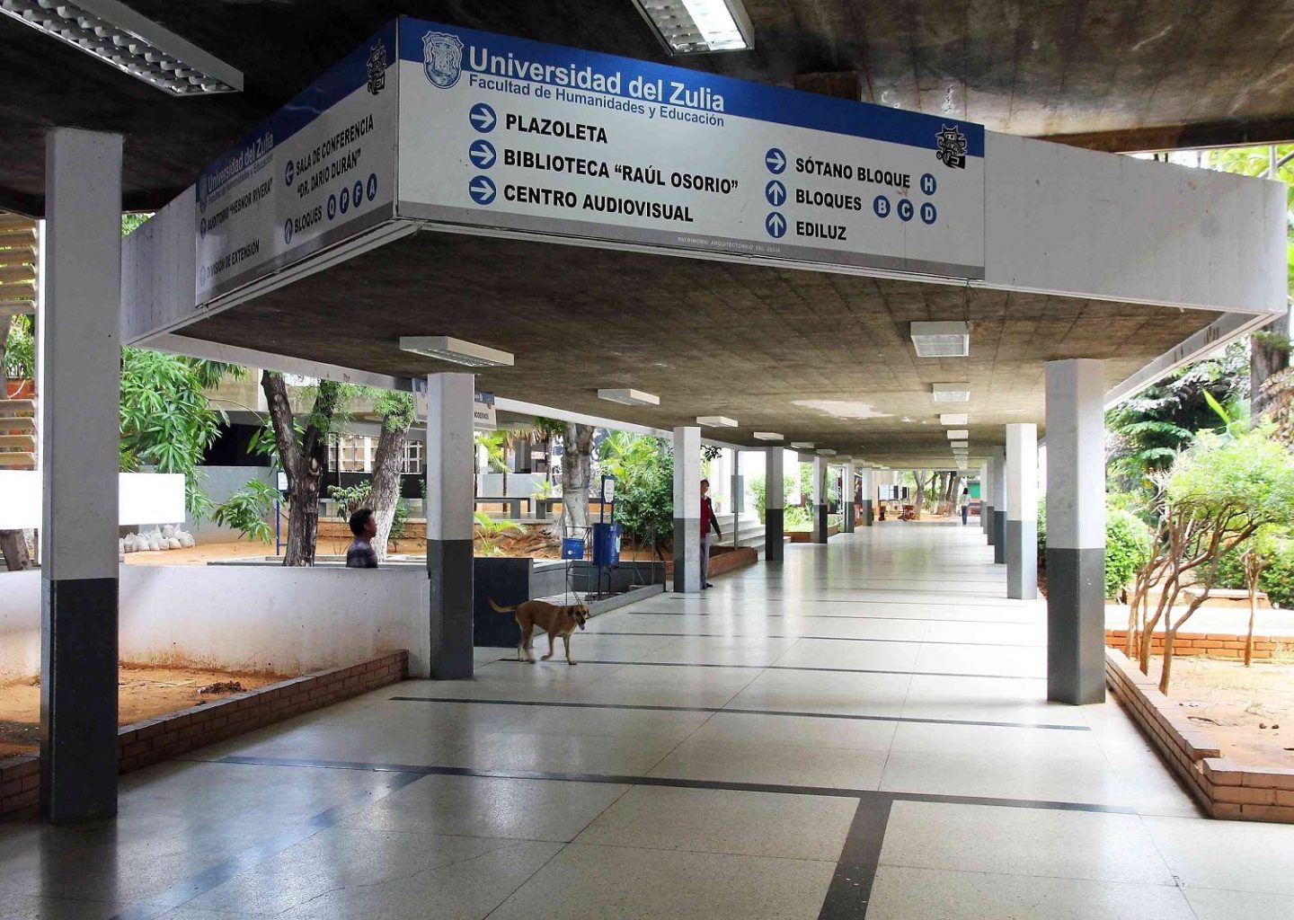 ¿Te gustó? ¡Compártelo!