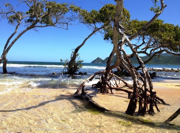 La Bahía de Patanemo, un lugar mágico en Venezuela para visitar